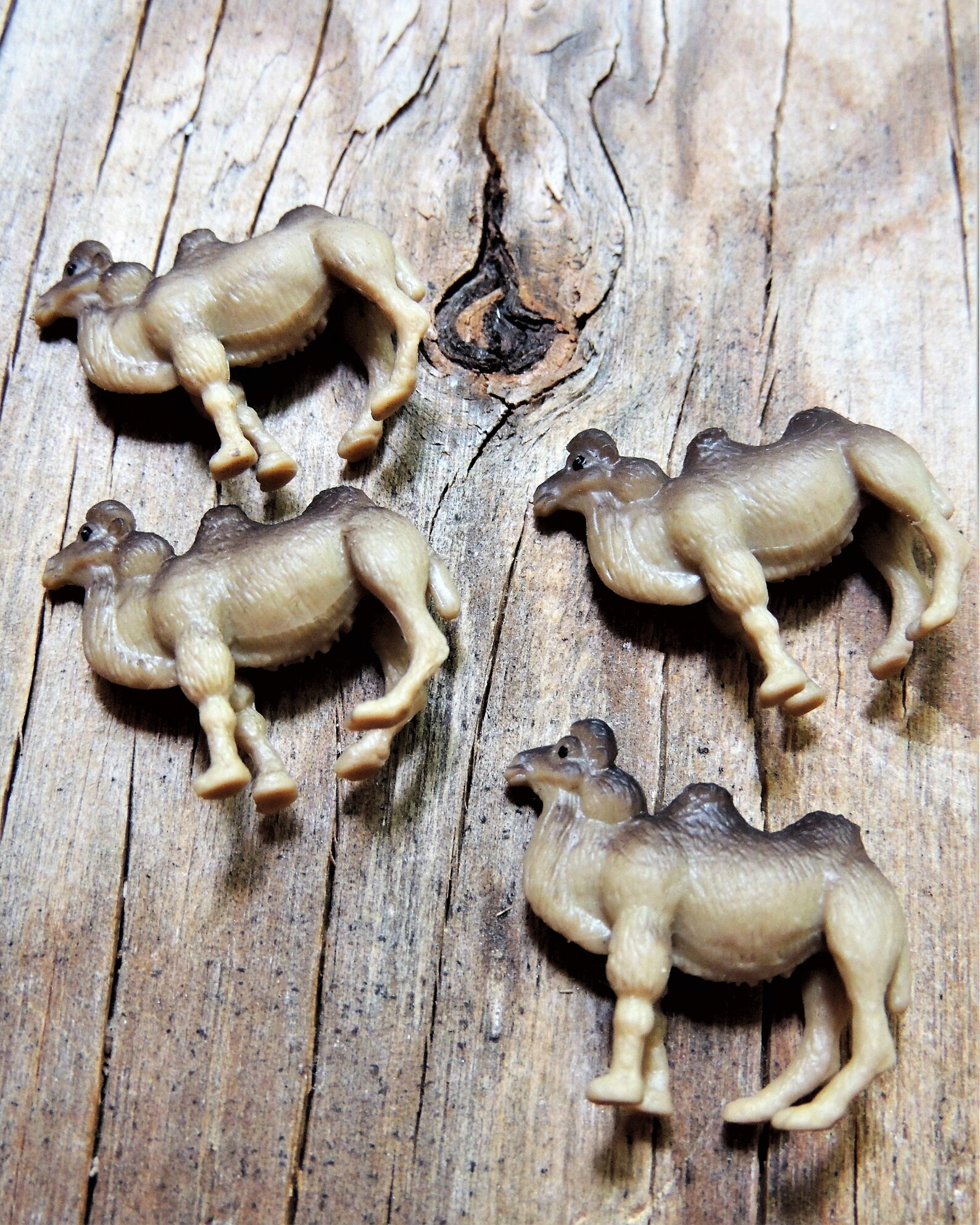 Tiny MINIATURE CAMEL for Fairy Gardens Bactrian Camels Animals | Etsy