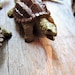 MINIATURE SNAPPING TURTLE Animal Figurine Figures Dollhouse Diorama ...