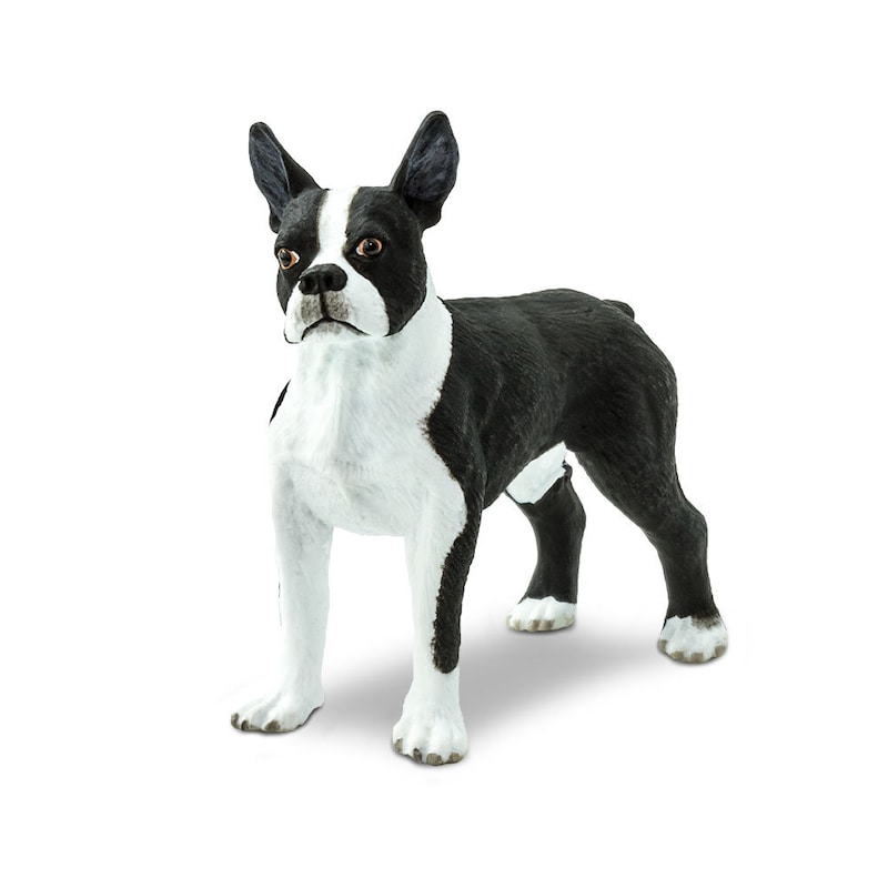 Cake Topper Boston Terrier - Etsy