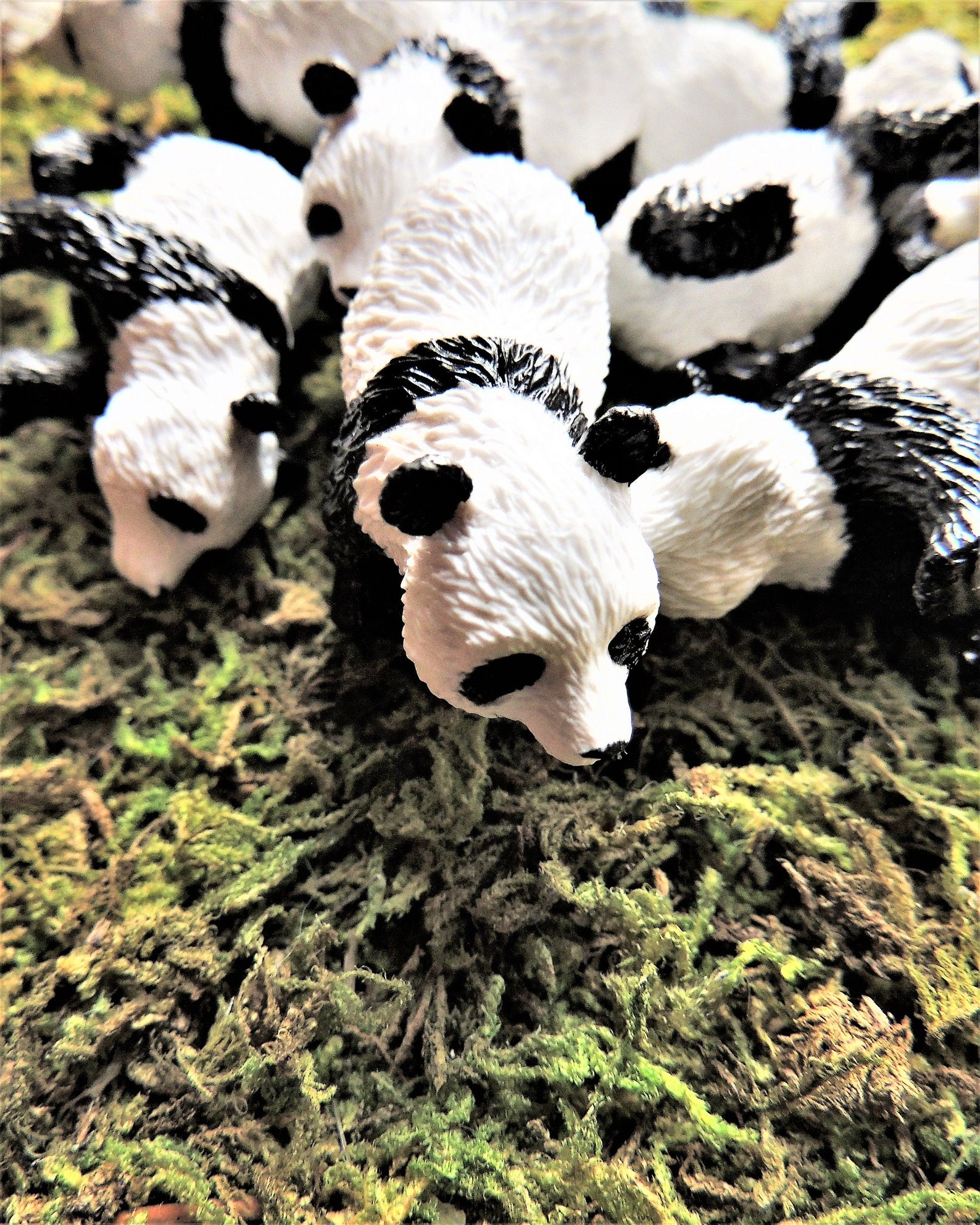 MINIATURE PANDA Bear Animal Figure Figurine Dollhouse Diorama Terrarium ...