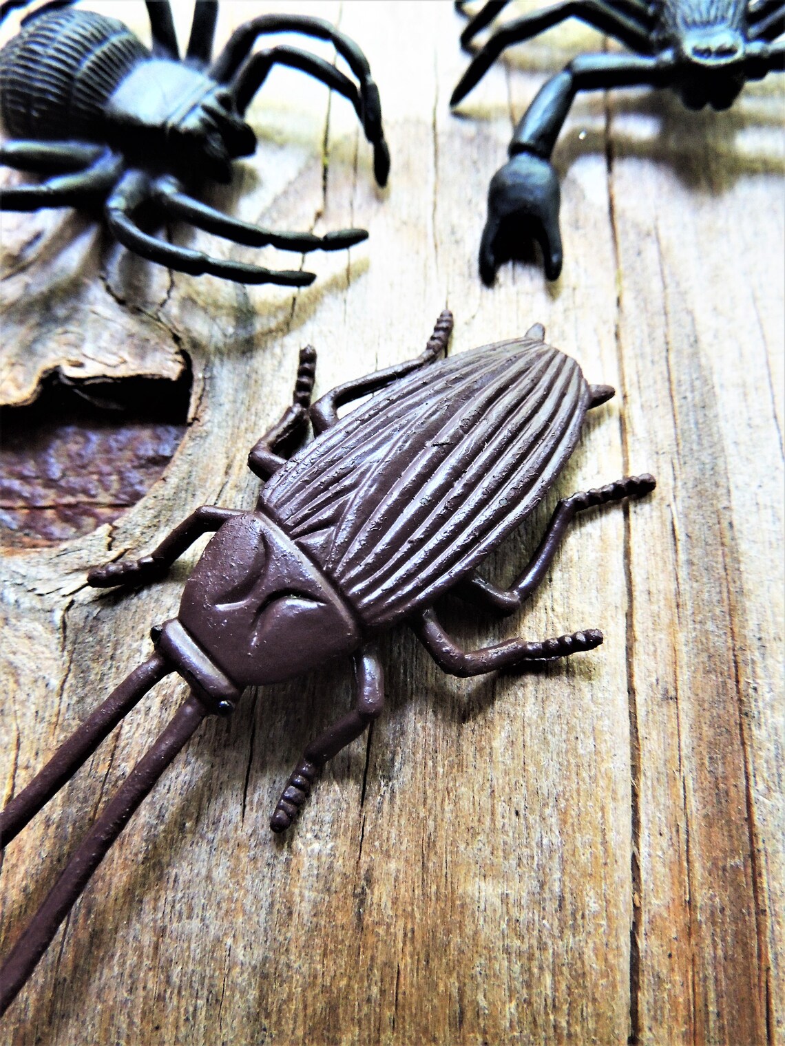 MINIATURE COCKROACH Insect Animal Figure Figurine Fairy Garden - Etsy