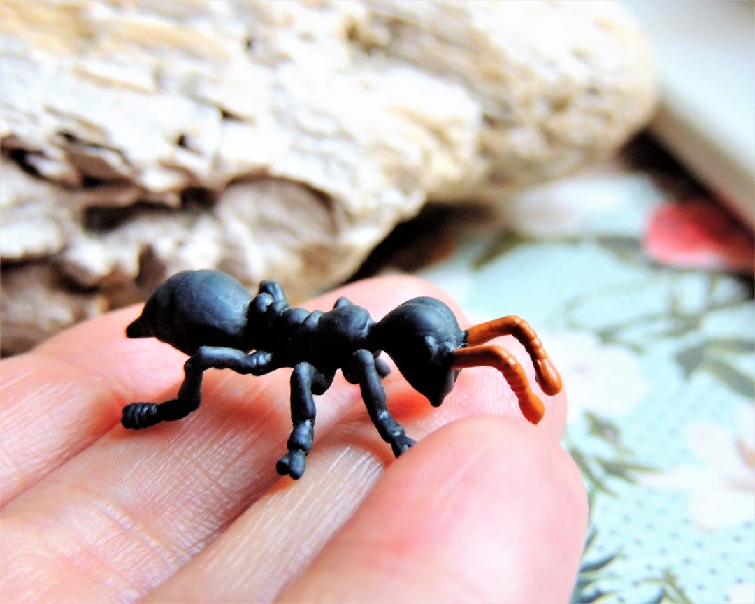 MINIATURE ANT Insect Animal Figurine Figure Fairy Garden Dollhouse ...