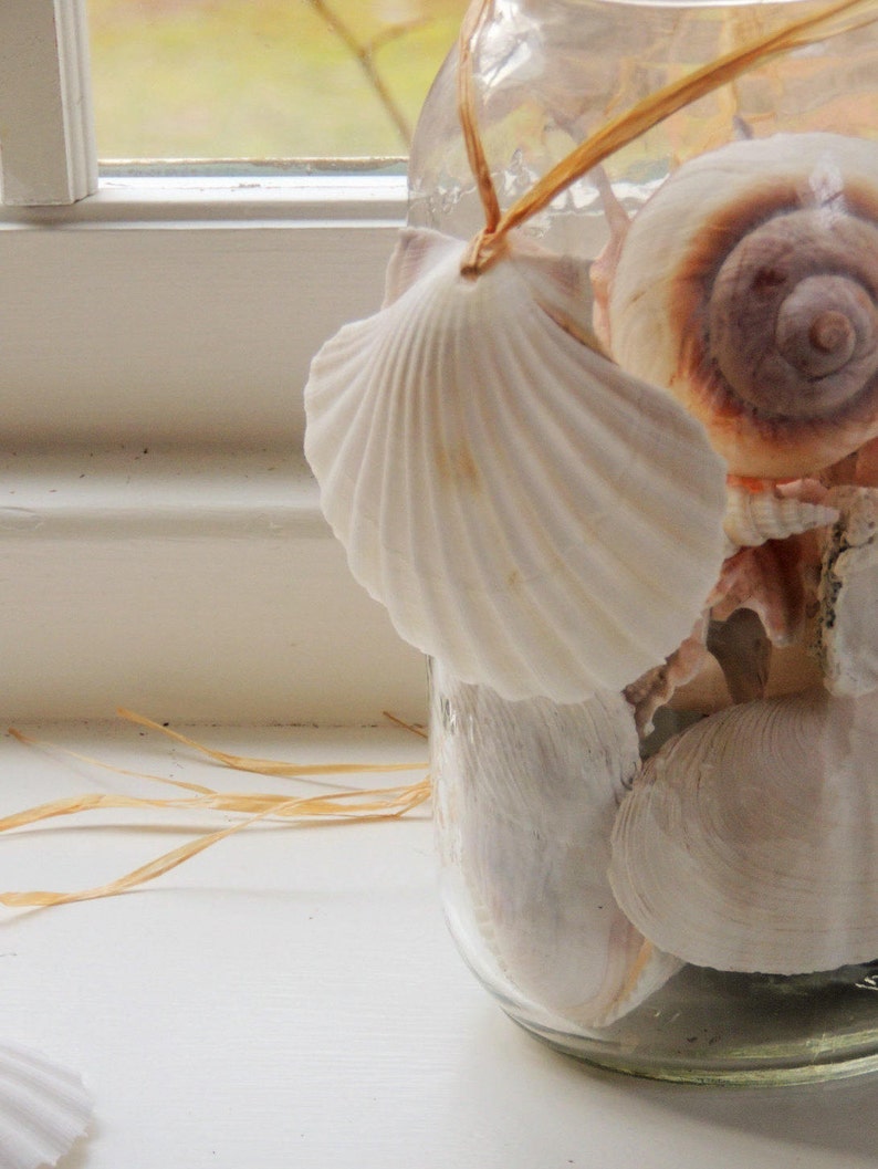 SEASHELL ORNAMENT Shell Beach Wedding Mason Jar Centerpieces | Etsy