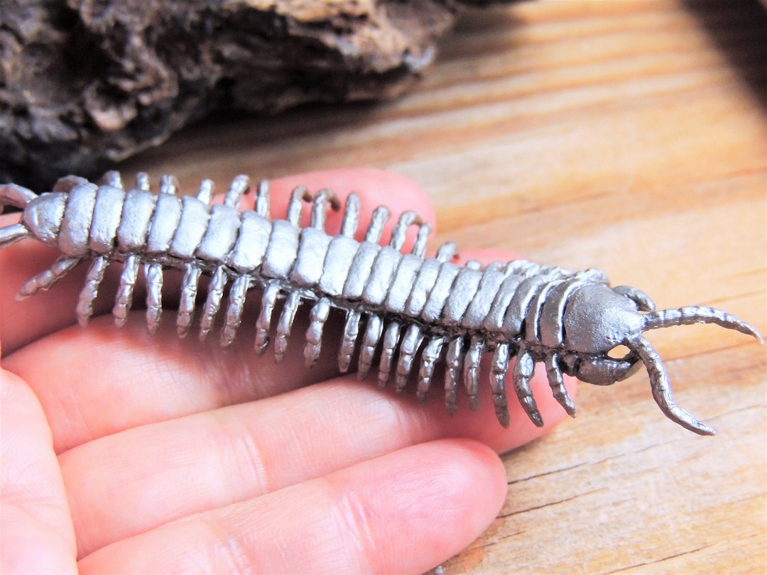 MINIATURE GIANT CENTIPEDE Animals Figure Figurine Dollhouse Diorama ...