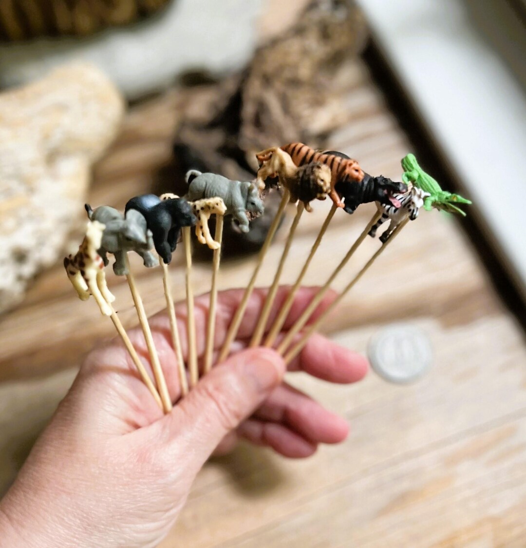 20 Animal Food Picks Party Pick Toothpicks Charcuterie Cupcake Toppers ...