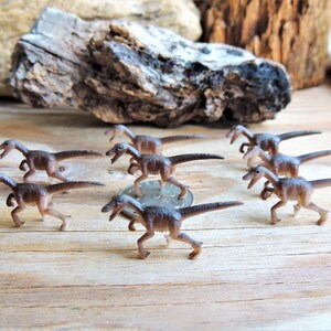 TINY MINIATURE DINOSAUR Raptor Figurine Figure Fairy Garden Dollhouse ...
