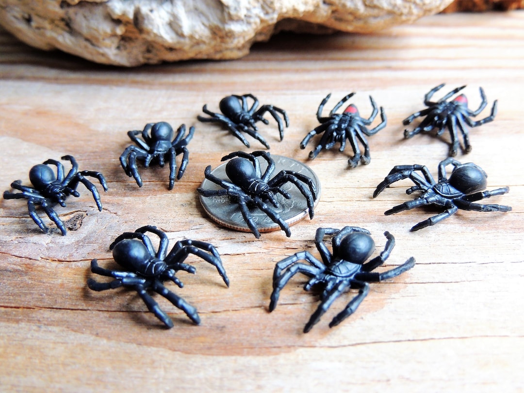 Set of SPIDER MINIATURES Black Widow Insect Tiny Animal Figurine Figure ...