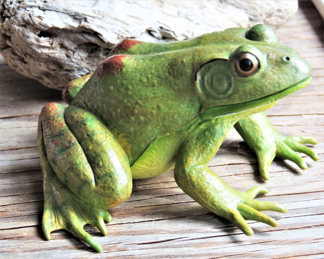 Large MINIATURE AMERICAN BULLFROG Animals Figurines Figures - Etsy