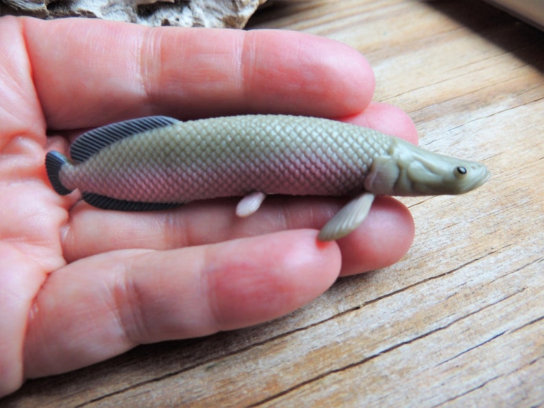 MINIATURE Arapaima Freshwater Fish Animals Figures Figurine - Etsy