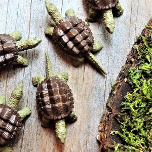 MINIATURE SNAPPING TURTLE Animal Figurine Figures Dollhouse Diorama ...