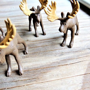 MINIATURES MOOSE Animal Figures Figurines Dollhouse Fairy Garden ...