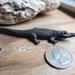 MINIATURE BLACK CAIMAN Animals Figures Figurines Crocodile Alligator ...