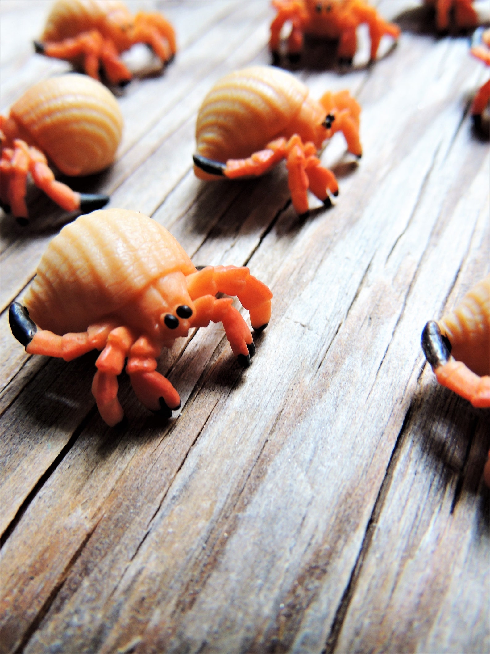 Set of Tiny MINIATURE Hermit Crab Sea Life Animal Figurine Mini Figure ...