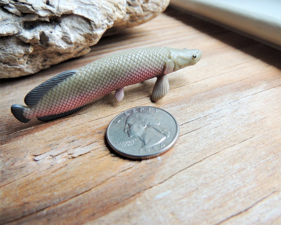 MINIATURE Arapaima Freshwater Fish Animals Figures Figurine - Etsy ...
