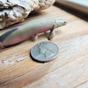 MINIATURE Arapaima Freshwater Fish Animals Figures Figurine Dollhouse ...