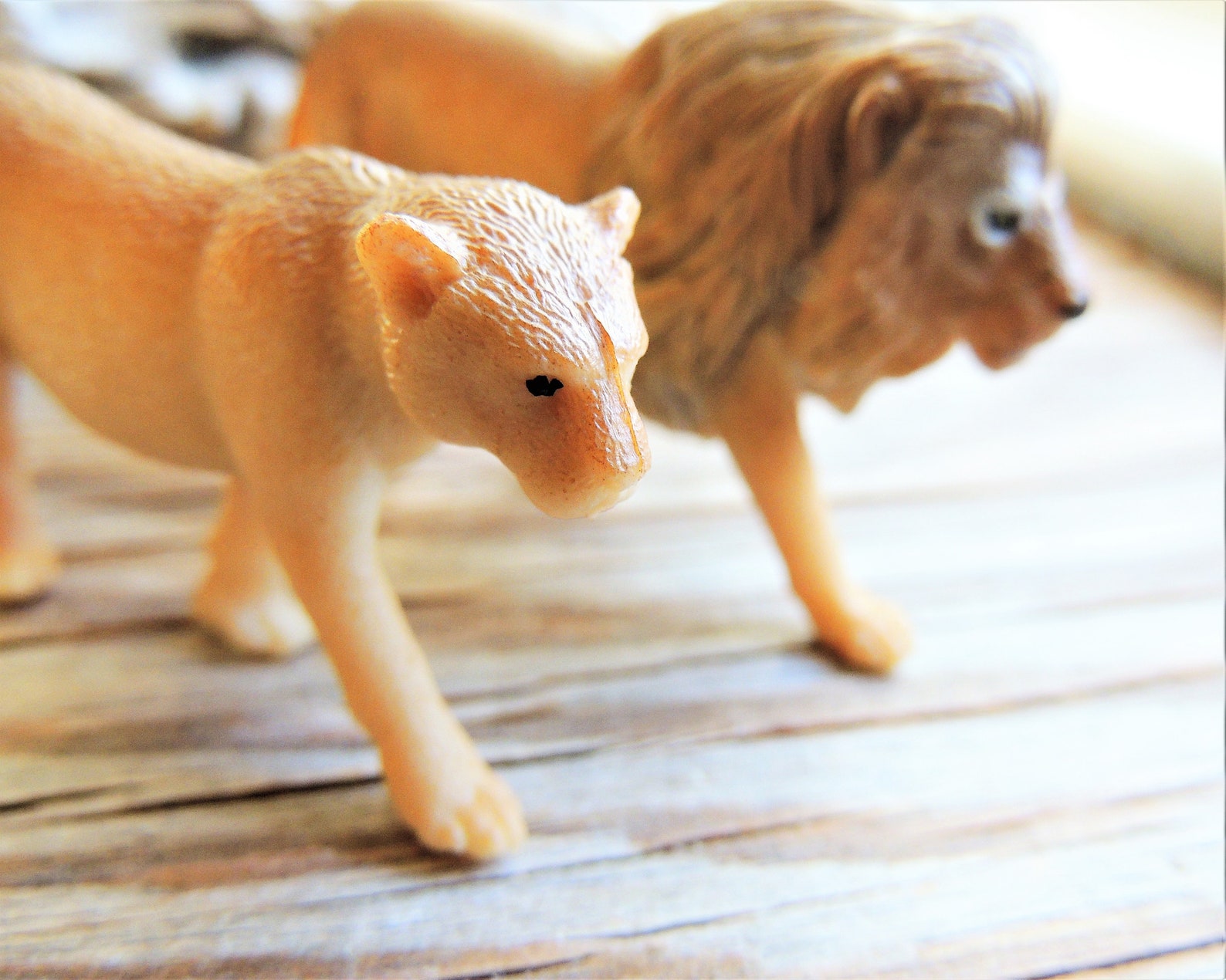 MINIATURE LION Animal Figurines Figures Fairy Garden Dollhouse | Etsy