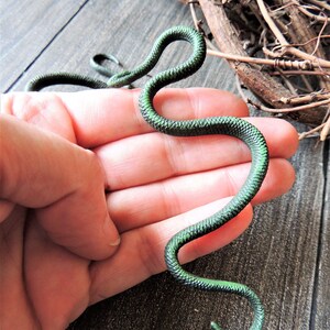 MINIATURE SNAKE Animal Figures Figurines for Fairy Gardens Dollhouse ...