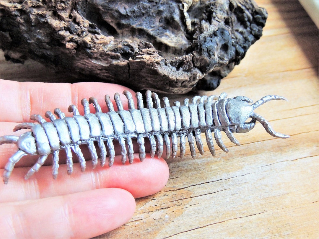 MINIATURE GIANT CENTIPEDE Animals Figure Figurine Dollhouse - Etsy