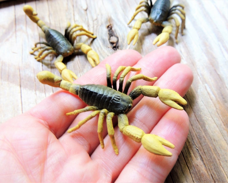 MINIATURE SCORPION Animals Figures Figurines Dollhouse Fairy | Etsy