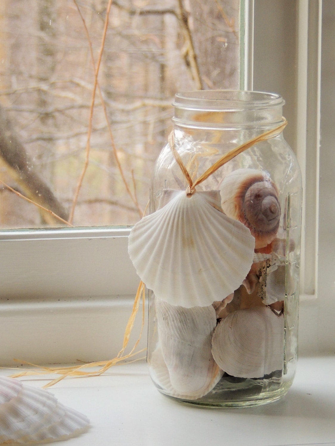 SEASHELL ORNAMENT Shell Beach Wedding Mason Jar Centerpieces | Etsy