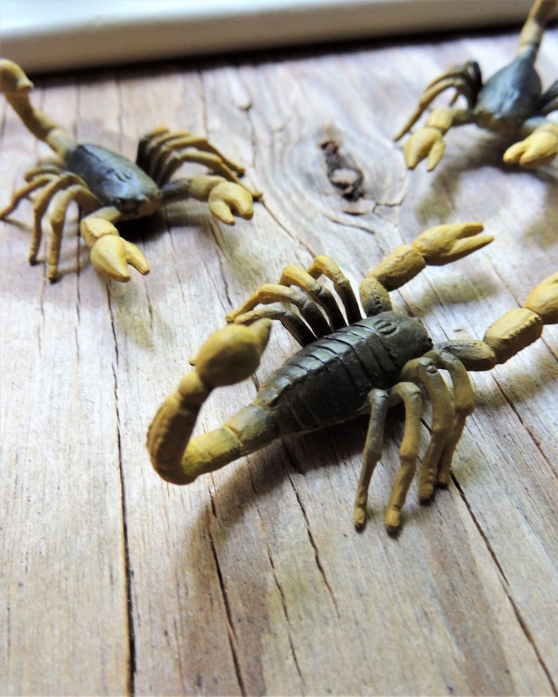 MINIATURE SCORPION Animals Figures Figurines Dollhouse Fairy | Etsy