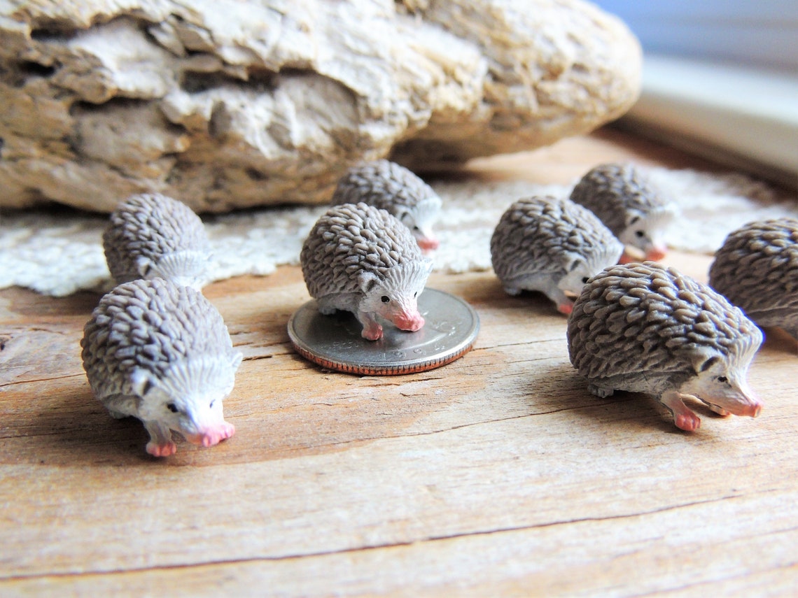 MINIATURE HEDGEHOG Animals Figures Figurines Fairy Garden | Etsy