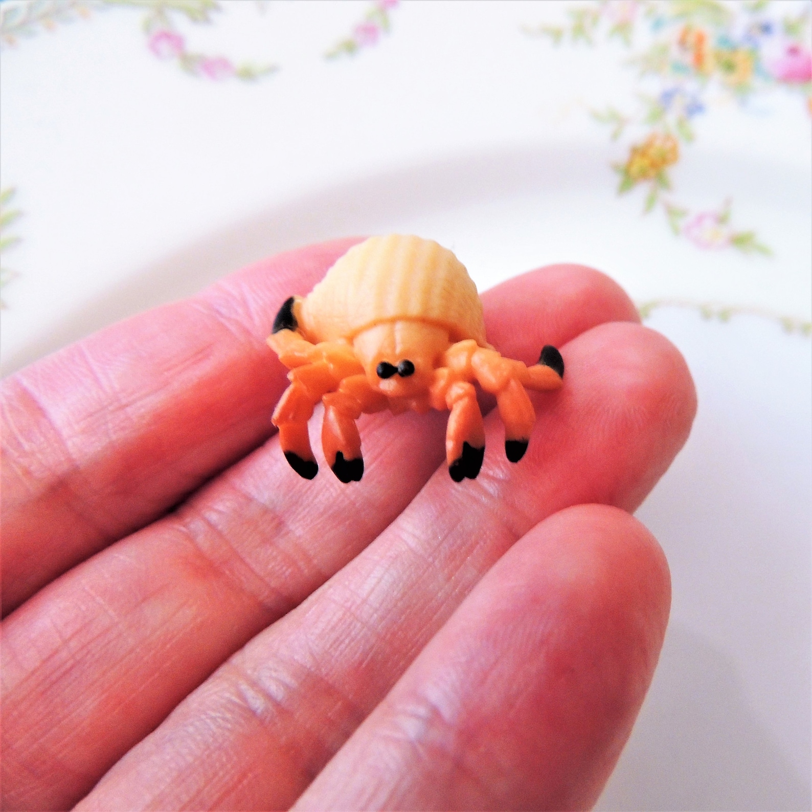 HERMIT CRAB MINIATURE Animal Figurine Figures Micro Minis Dollhouse ...