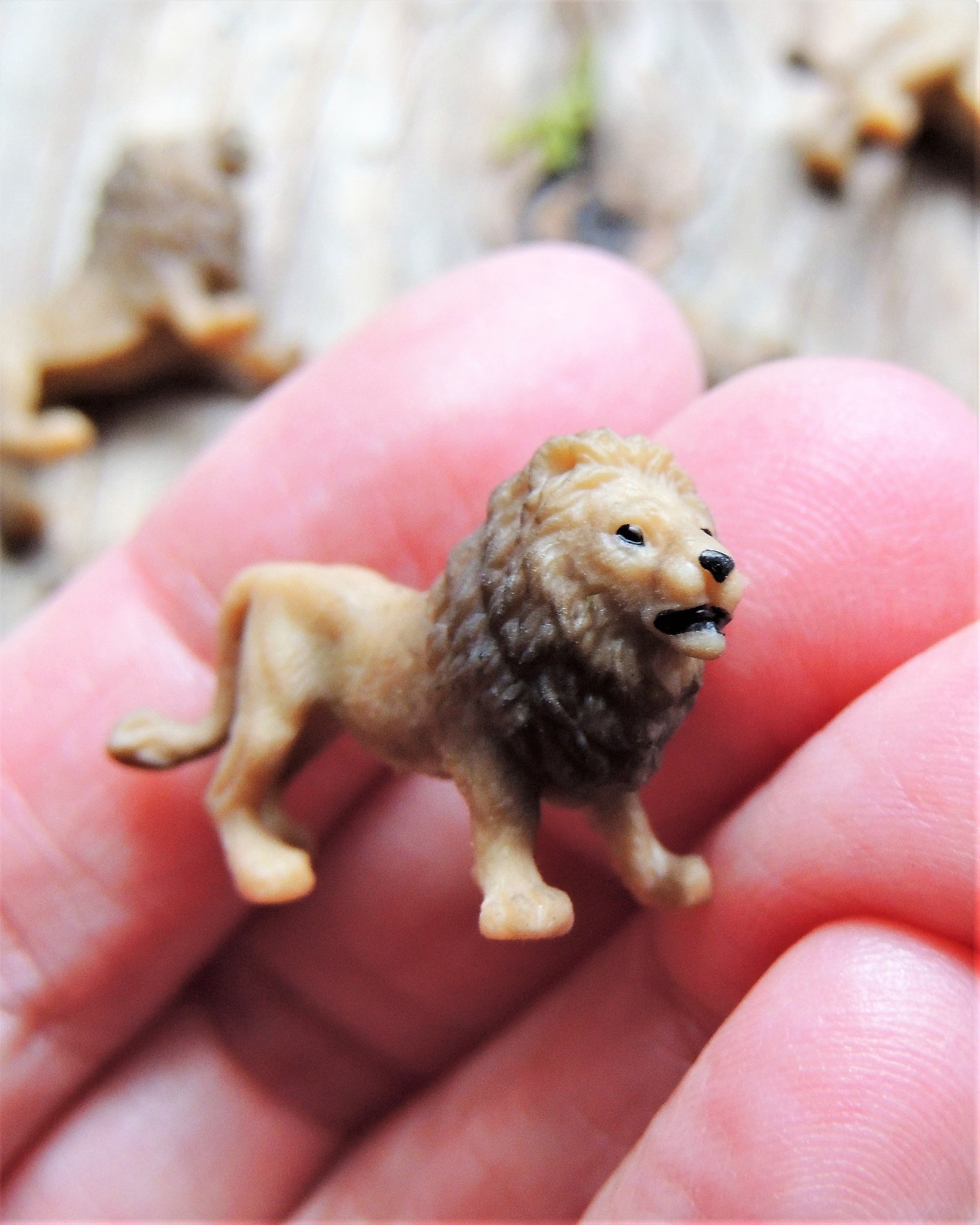 Lion MINIATURE ANIMALS Figurines Mini Lions Safari Zoo Figure - Etsy