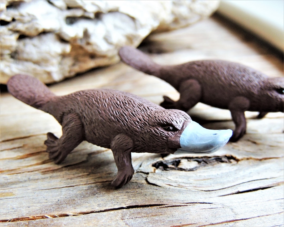 PLATYPUS MINIATURE Animals Figurines Figures Fairy Garden Dollhouse ...