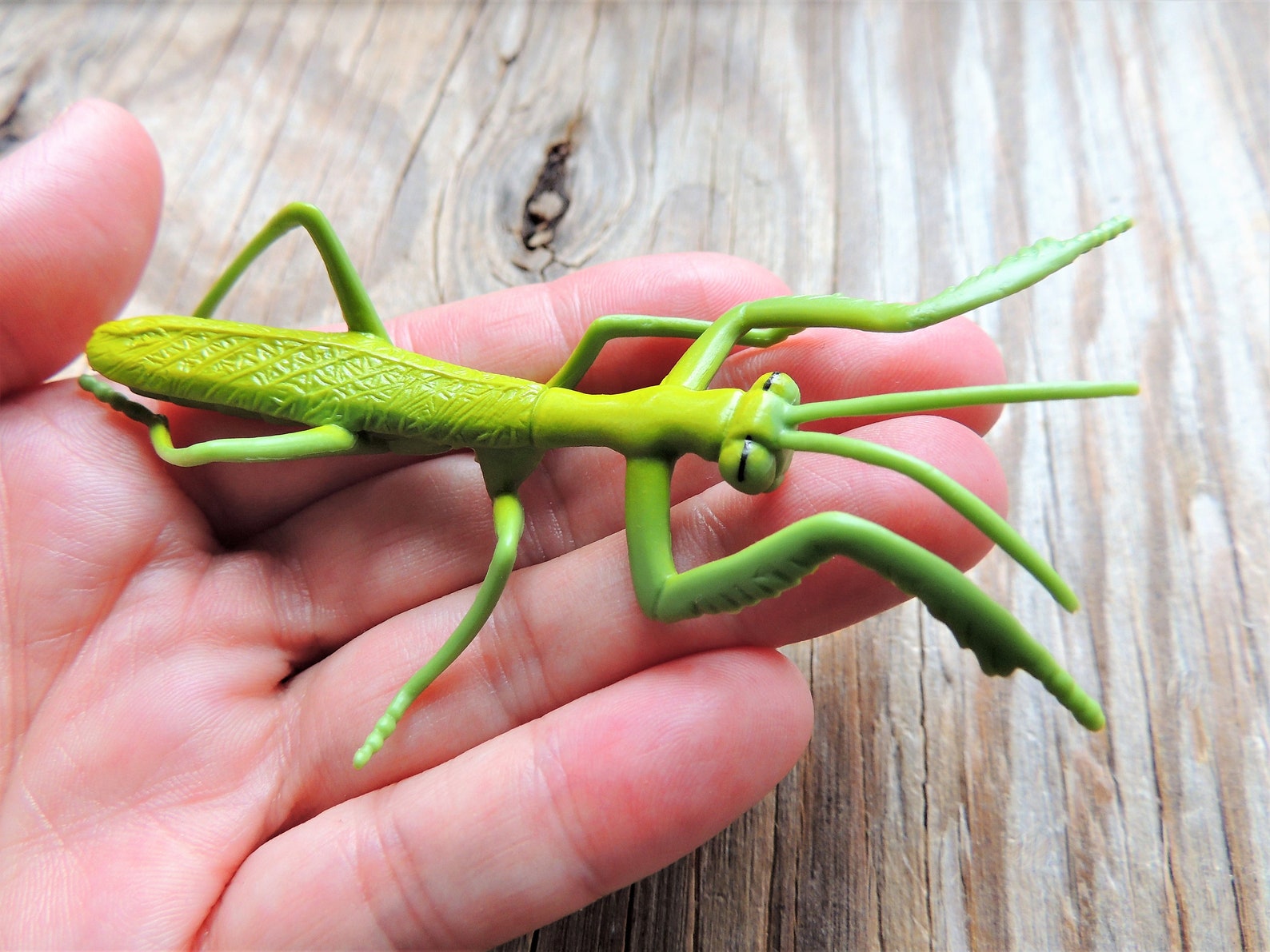 MINIATURE PRAYING MANTIS Animal Insect Figures Figurines Fairy | Etsy