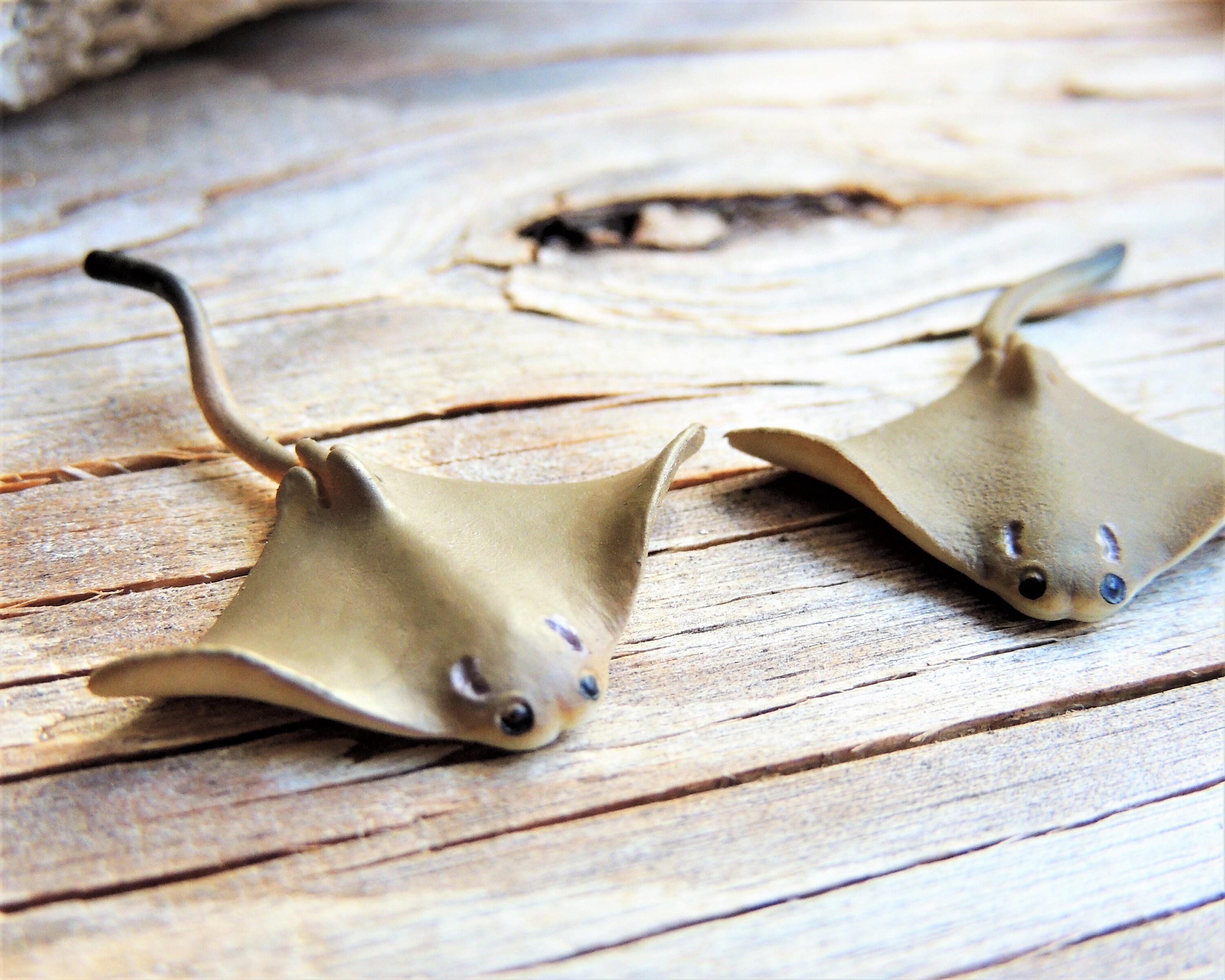 COWNOSE RAYS MINIATURES: Tiny Mini Animals Dollhouse Terrarium - Etsy