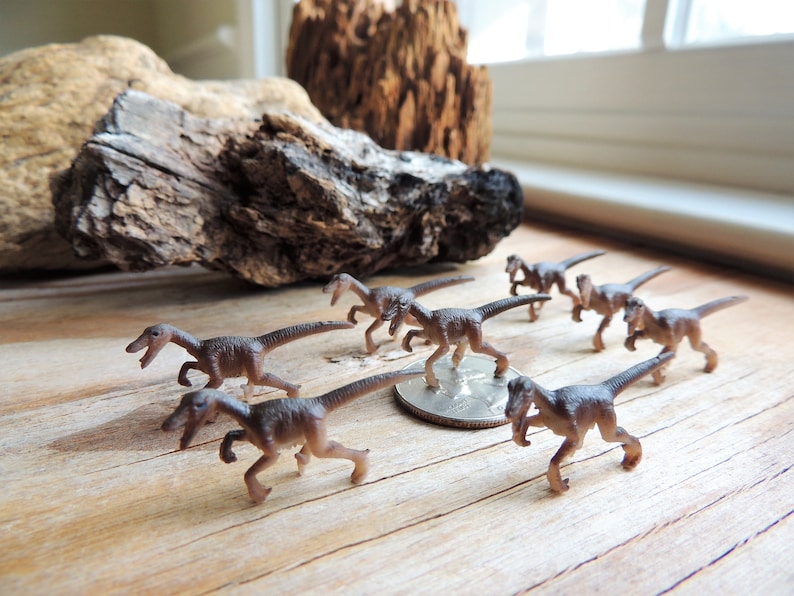 TINY MINIATURE DINOSAUR Raptor Figurine Figure Fairy Garden - Etsy