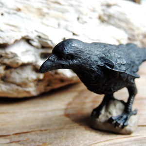 Large MINIATURE RAVEN Bird Crow Animals Figure Figurine Dollhouse Fairy ...
