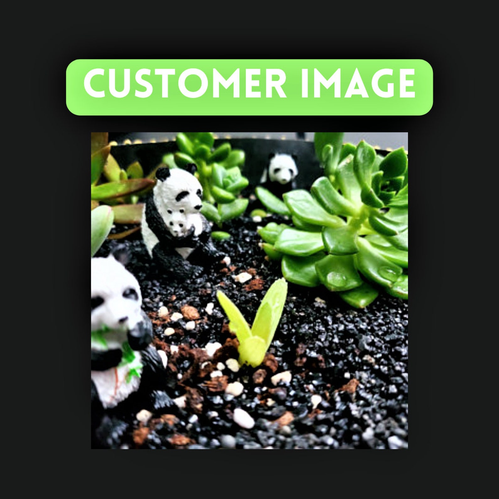 MINIATURE PANDA Bear Animal Figure Figurine Dollhouse Diorama Terrarium ...