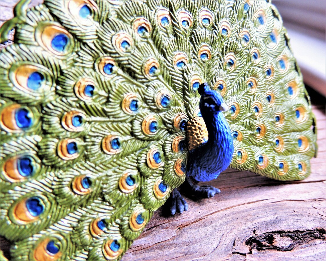 Large MINIATURE PEACOCK Bird Animals Figures Figurines Dollhouse Fairy ...