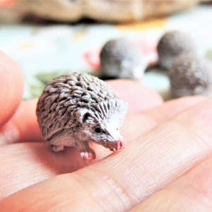 MINIATURE HEDGEHOG Animals Figures Figurines Fairy Garden Dollhouse ...