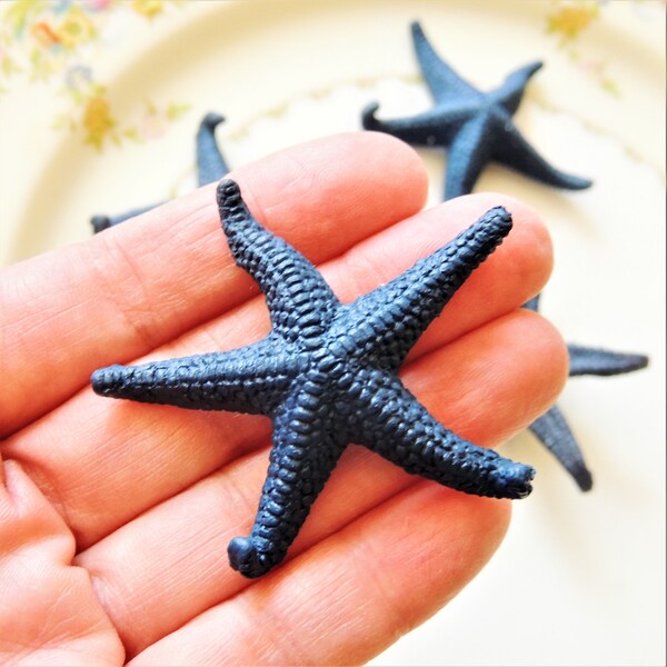 Starfish Toy - Etsy