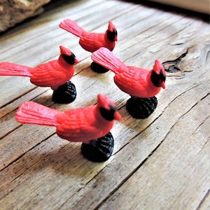 CARDINAL MINIATURES: Cute Tiny Minis Dollhouse Terrarium Fairy Garden ...