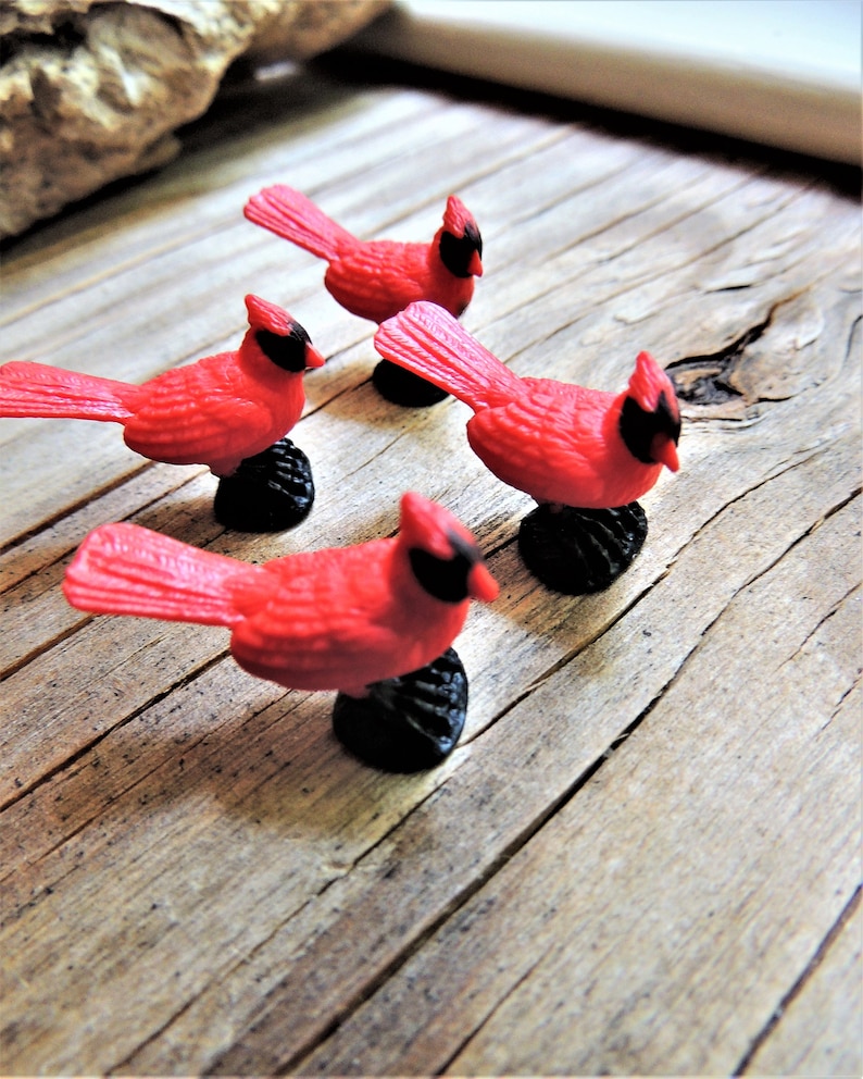 CARDINAL MINIATURES: Cute Tiny Minis Dollhouse Terrarium Fairy Garden ...