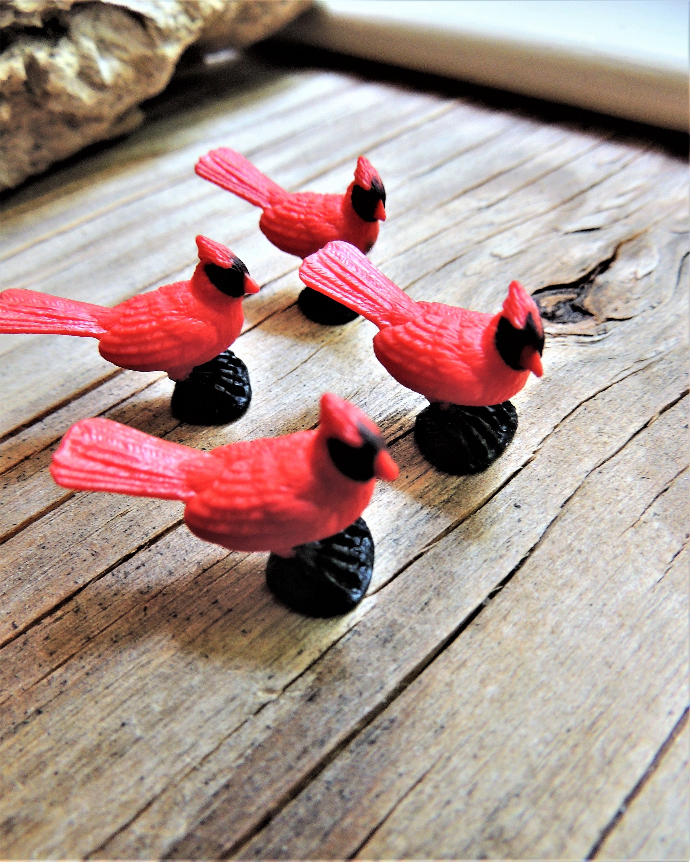 CARDINAL MINIATURES: Cute Tiny Minis Dollhouse Terrarium Fairy Garden ...
