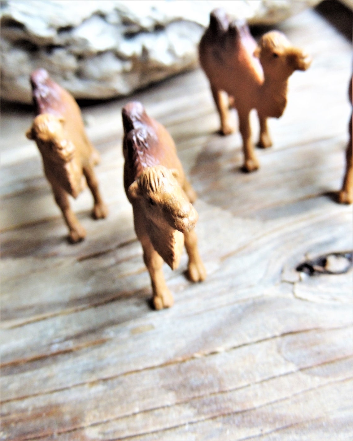 MINIATURE CAMEL Plastic Animal Figures Figurines for Fairy - Etsy