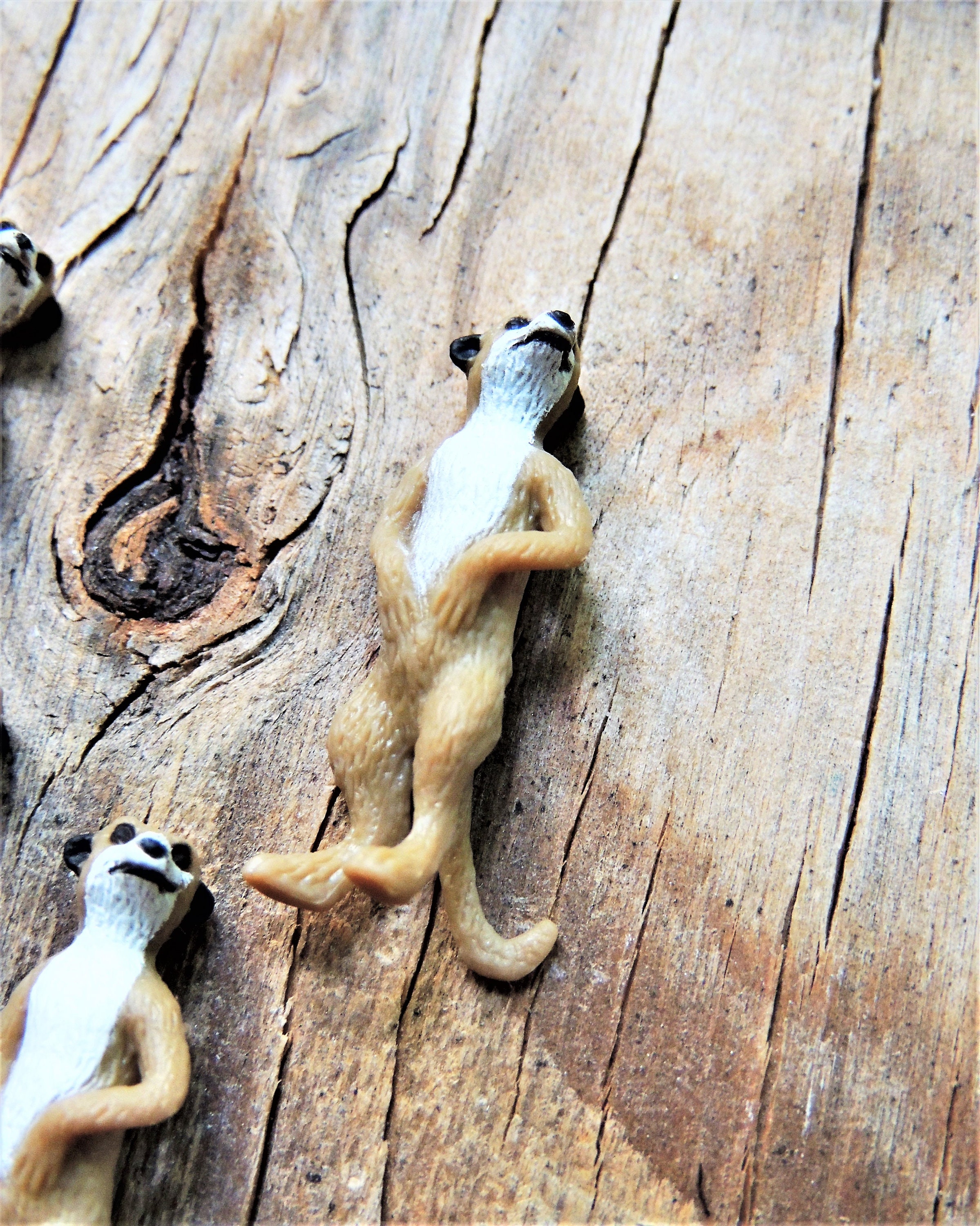 MINIATURE MEERKAT Mini Animal Fairy Garden Animals Figures | Etsy