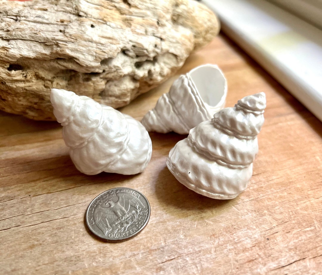 MINIATURE TURBAN SEASHELL Figures Figurines Diorama Terrarium Fairy ...