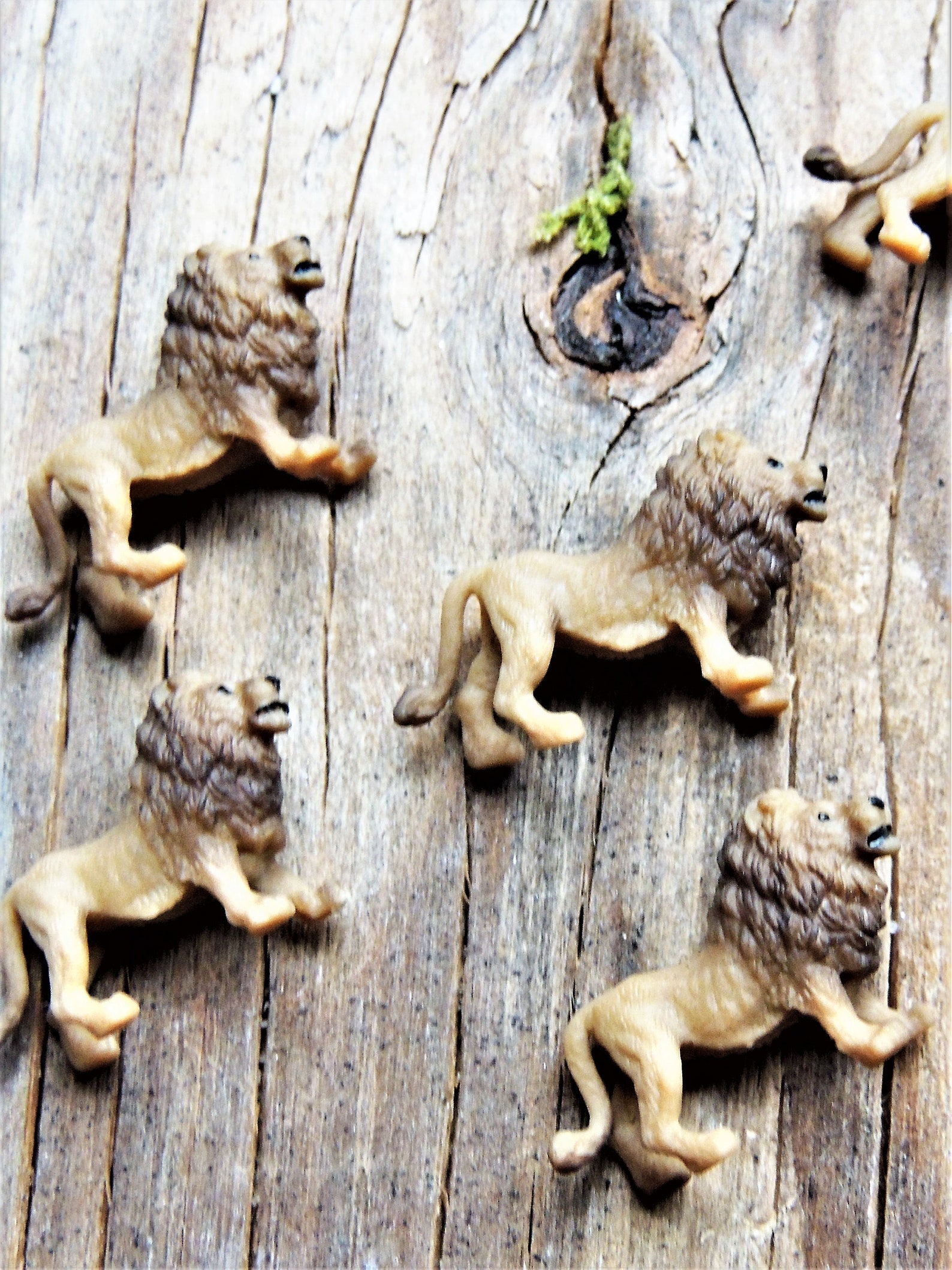 Lion MINIATURE ANIMALS Figurines Mini Lions Safari Zoo Figure - Etsy
