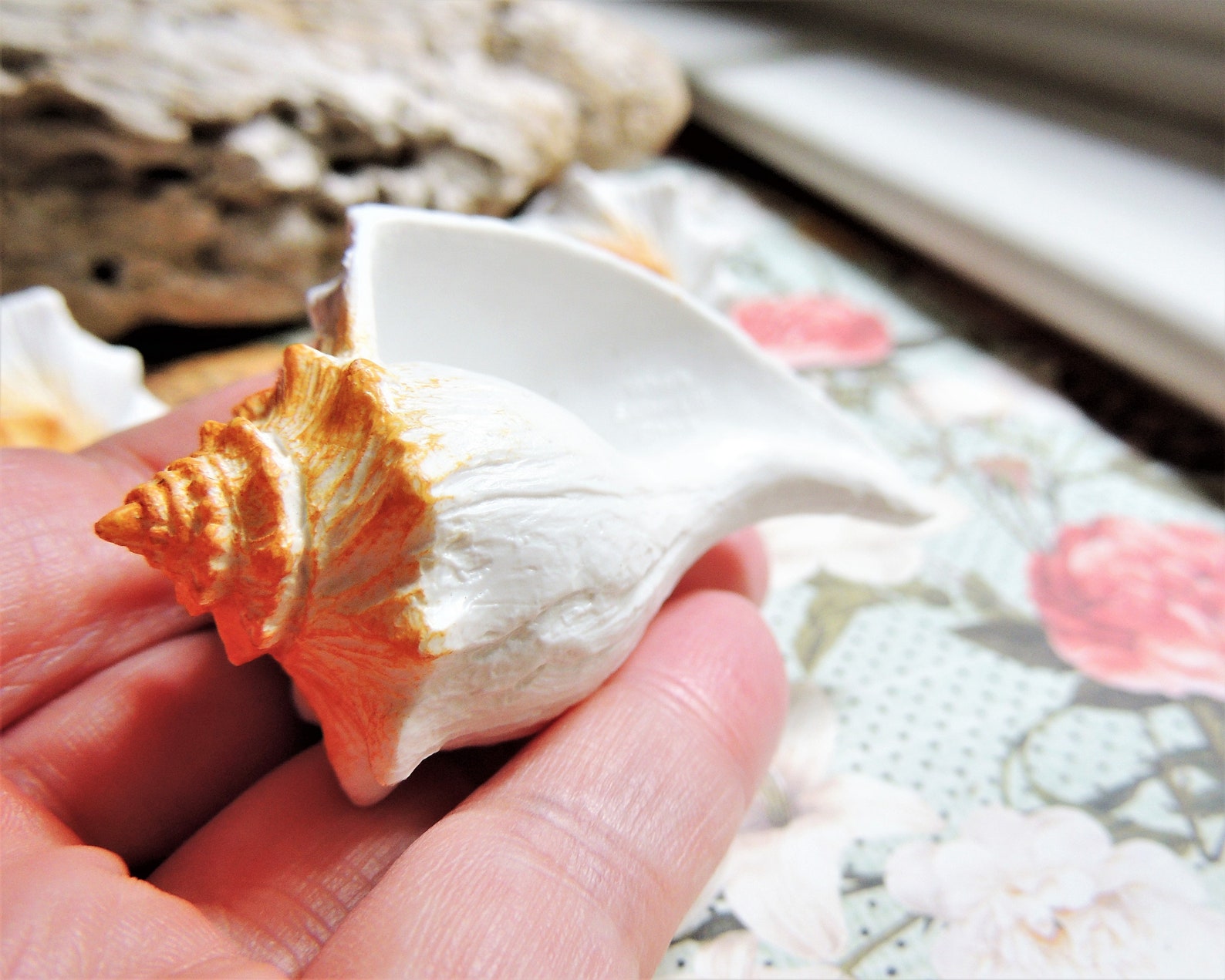 MINIATURE TURBAN SEASHELL Figures Figurines Diorama Terrarium | Etsy