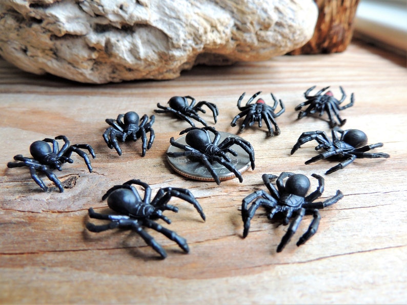 Tiny MINIATURE Black Widow SPIDER Insect Figurine Figures Dollhouse ...