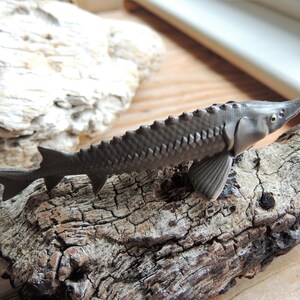 Miniature LAKE STURGEON FISH Animal Figure Figurine Dollhouse Diorama ...