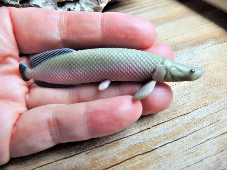 MINIATURE Arapaima Freshwater Fish Animals Figures Figurine - Etsy