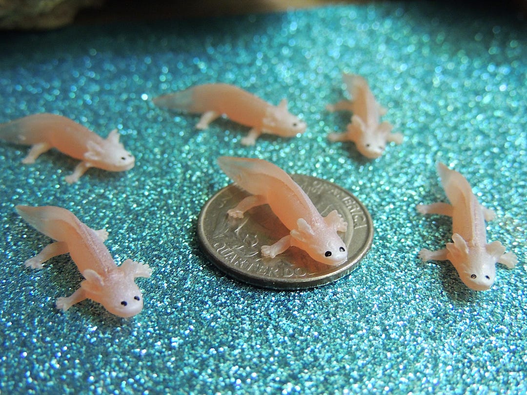 MINIATURE AXOLOTL Animal Figurine Tiny Mini Figures Dollhouse Diorama ...