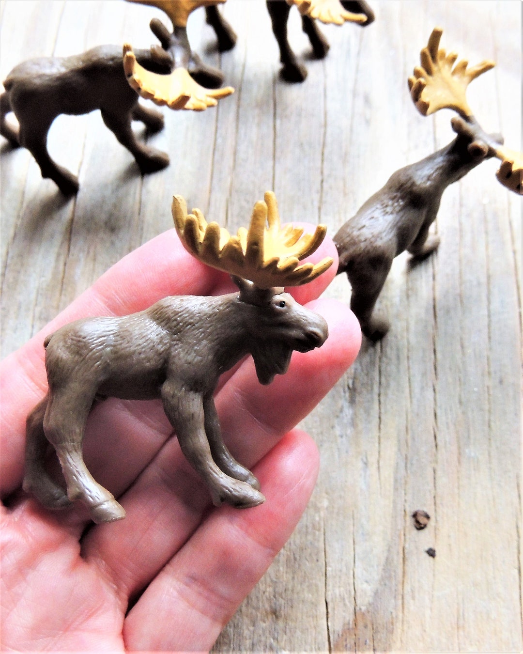 MINIATURES MOOSE Animal Figurines Dollhouse Fairy Garden Diorama ...